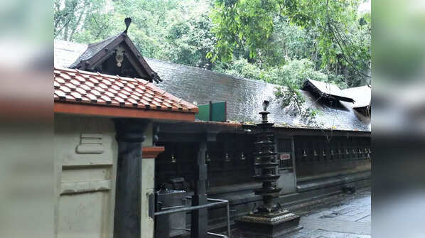 Kerala’s miraculous Mannarasala temple where childless couples are ...