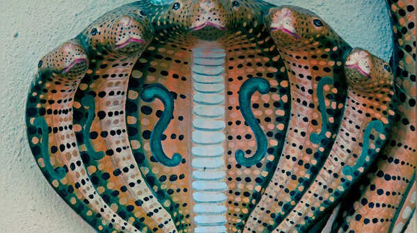 7 snake deities that are worshipped in India and why