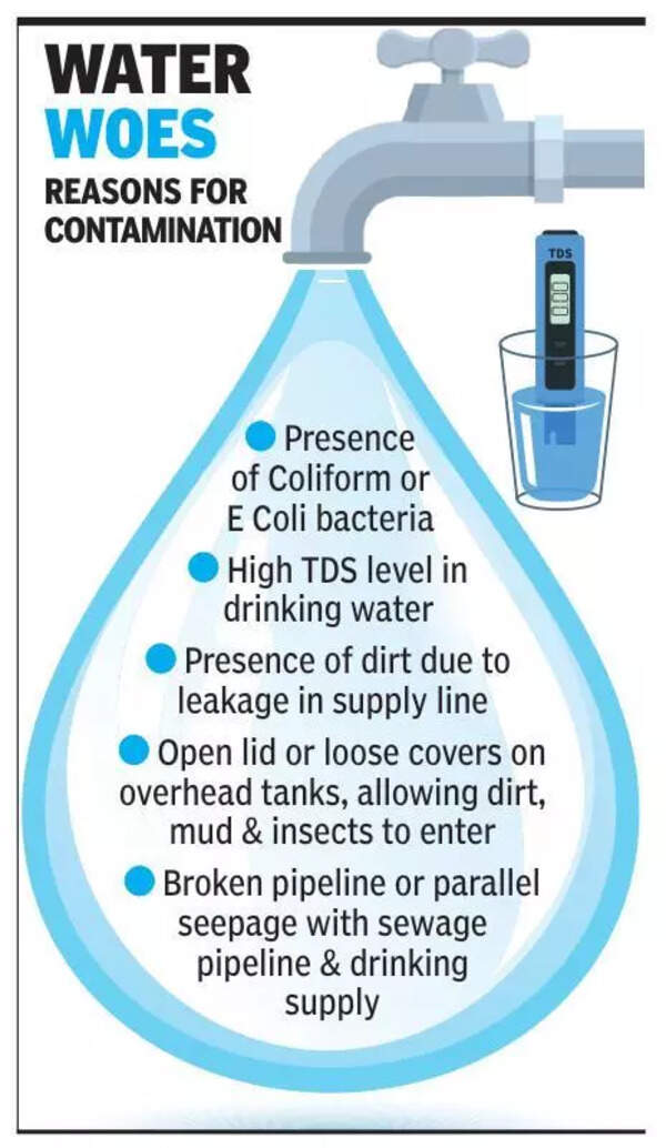 Ayantika Pal: Read Latest News from Ayantika Pal - Times of India