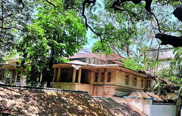 Nauzer Bharucha: Read Latest News from Nauzer Bharucha - The Times of India