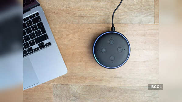 How does Alexa function? Where does her voice come from?