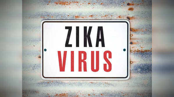 Difference between Zika virus, dengue and chikungunya explained