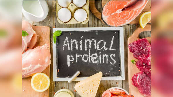 Difference between animal and plant protein and which is healthier