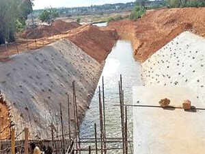 Bagalur Lake: Latest News, Videos and Photos of Bagalur Lake | Times of ...