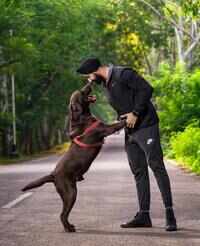 Dev Gill: Movies, Photos, Videos, News, Biography & Birthday | Times of ...