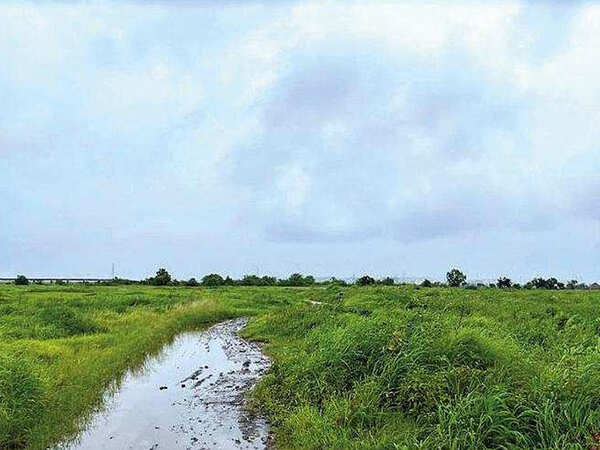 Cidco-PRO-Priya-Ratambe: Latest News, Videos and Photos of Cidco-PRO ...