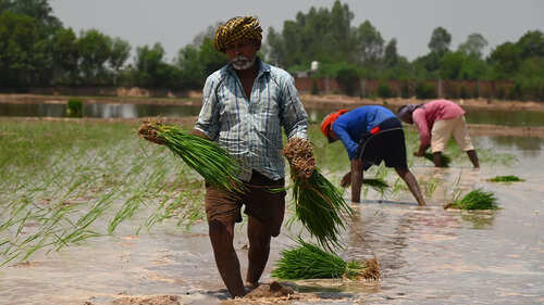 Ritika Juneja: Read all latest stories from Ritika Juneja | Times of India