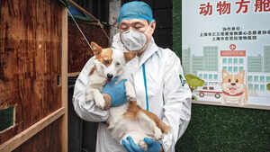 TOI Plus Stories: Exclusive Stories on Politics, Sports & Business on ...