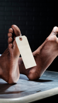 Necrophilia: Latest News, Videos and Photos of Necrophilia | Times of India