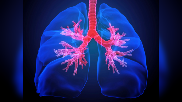 Popcorn Lung Signs and Symptoms: What is Popcorn Lung? Signs and ...