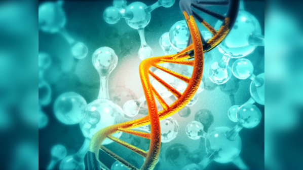 How Archer Sheetal Devi beat Phocomelia and won three medals at the ...