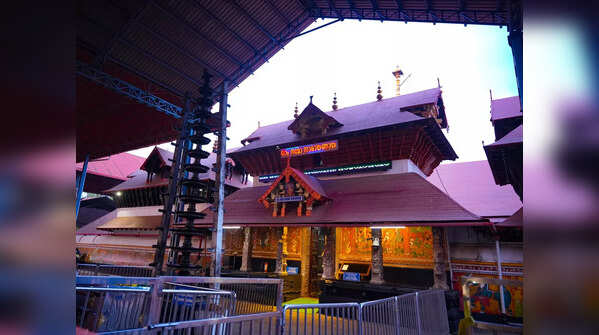 Why is Manjadikuru aka red seeds offered to Guruvayoorappan?