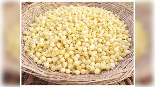 Mahua to be sold as ‘heritage liquor’ in Madhya Pradesh