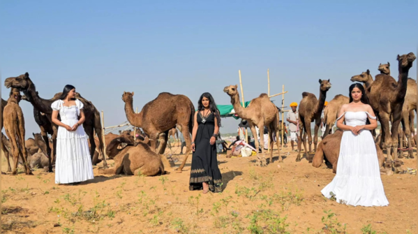 Pushkar Mela 2024: Celebration of culture, colour, tradition. See pics