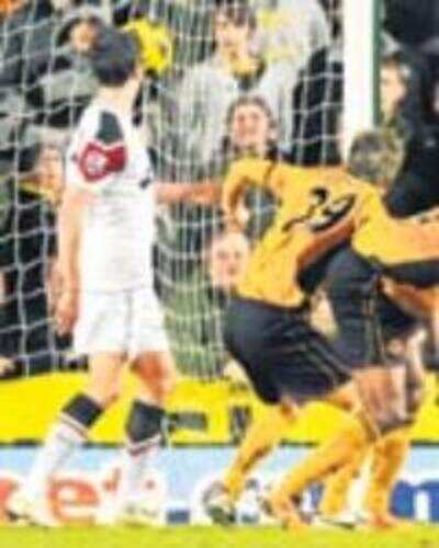 Beaten by the wolf pack