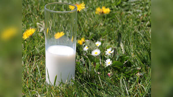 Things to do with spoiled milk: Don't throw out your spoiled milk just yet
