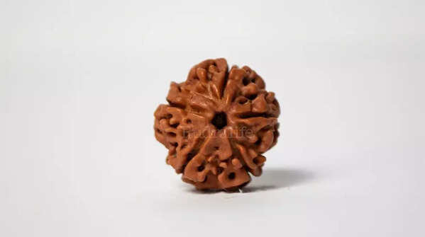 The sacred power of Rudraksha during Sawan: A complete guide to Lord ...