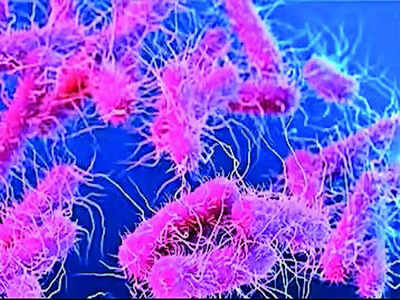 Kerala Shigella surge triggers monsoon hygiene alert for public