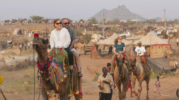 Pushkar Mela 2024: Celebration of culture, colour, tradition. See pics