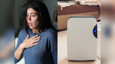 The use of air purifier store