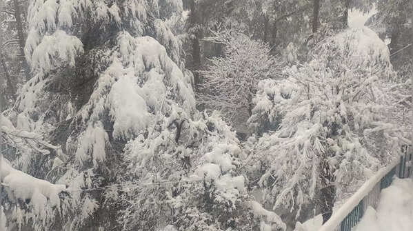 Photos: Heavy snowfall blocks 460 routes in Shimla, Manali
