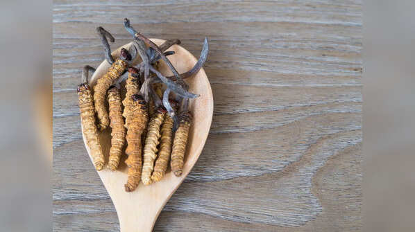 Himalayan Gold: What is it, why is it called 'Himalayan Gold' and does ...