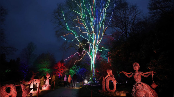 Christmas at Stourhead: Stunning displays, dazzling lights, and a ...