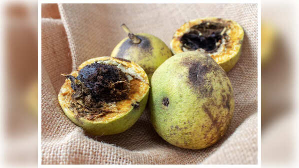 Black Walnuts Health Benefits: Why you should eat Black Walnuts daily ...