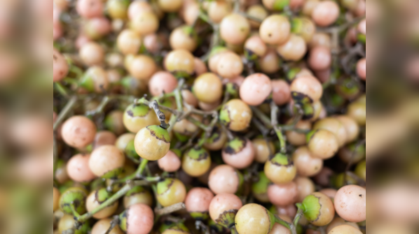 This rare Indian fruit comes in the market for just 2 months, and has ...