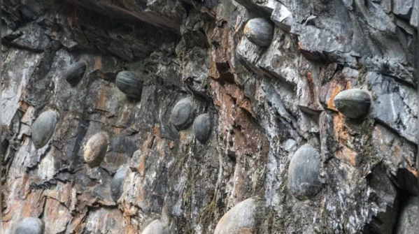 China Egg Mountain: The Mountain that lays eggs: China’s bizarre ...