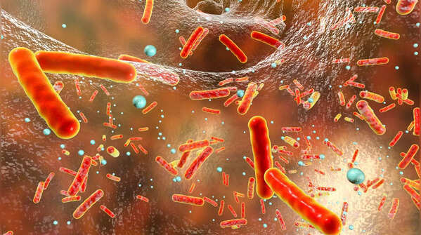 NASA's cleanrooms reveal 26 new bacteria that could change space science