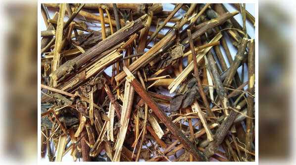 Chirata: The Indian bitter herb that can strengthen liver, increase ...