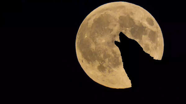 From wolf moon to blood moon: 11 full moons and what do they mean