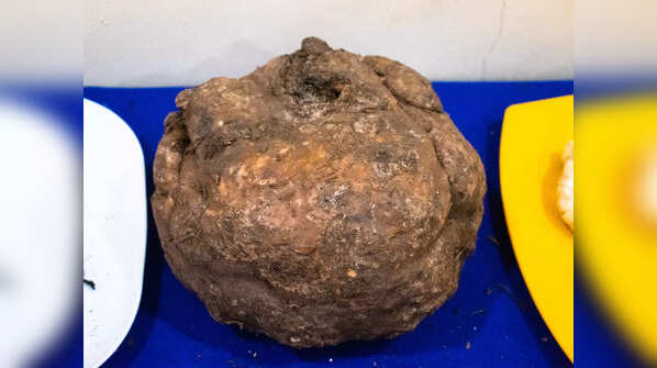 Diwali 2023: This is why Jimikand is cooked on this day