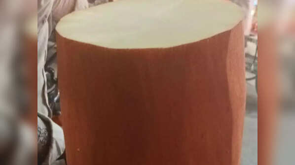 The Kand Mool fruit that Lord Ram ate during exile is a storehouse of ...