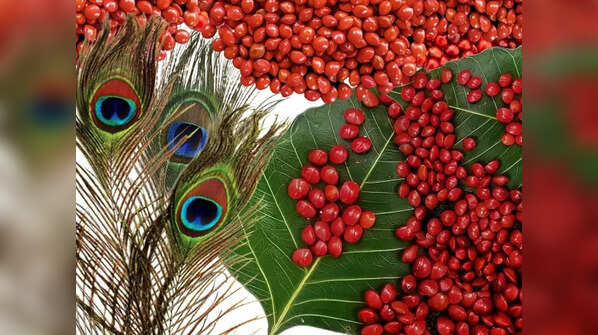 Why is Manjadikuru aka red seeds offered to Guruvayoorappan?