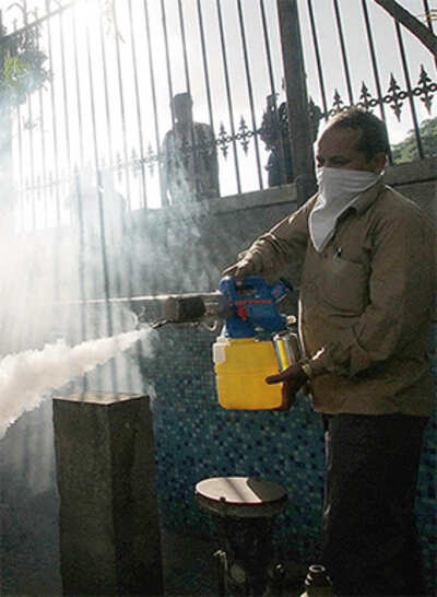 Dengue, a fogging problem in Bengaluru