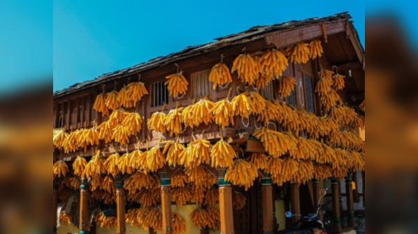 Why is this place called the "Corn Village of India"?