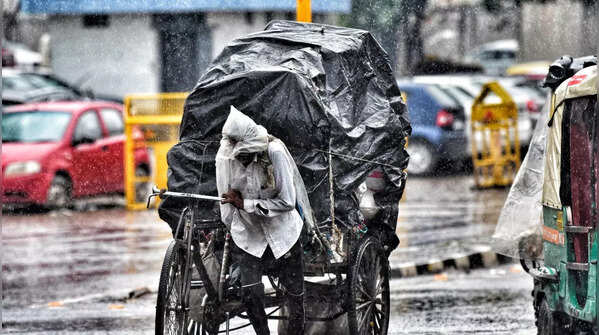 Photos: Continuous rainfall in Delhi disrupts normal life