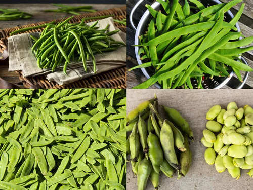 Types Of Flat Green Beans 14 Types Of Green Beans You Should Get