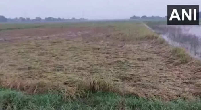 Cyclone Michaung News Live: PM Modi condoles loss of lives due to ...