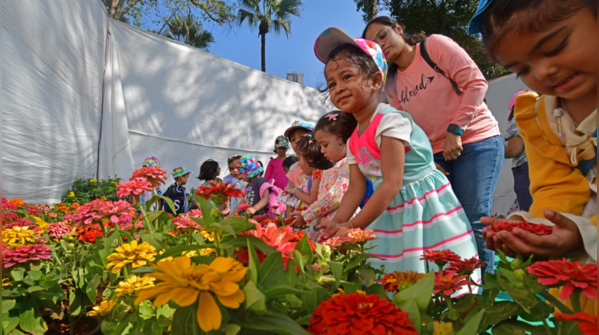 Mumbai flower festival 2025: A vibrant celebration of nature and ...