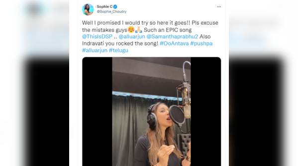 David Warner, Suresh Raina, Neha Kakkar, Sophie Choudry, Hardik Pandya ...