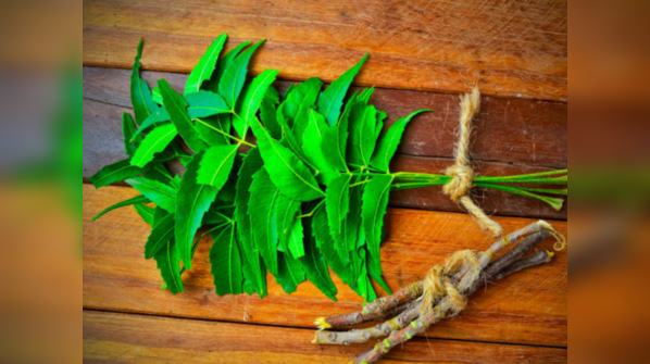 Neem Leaves: Traditional wisdom: How having neem leaves daily can keep ...