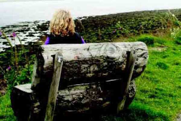 Aparna Shekar Roy: Read Latest News from Aparna Shekar Roy - The Times ...