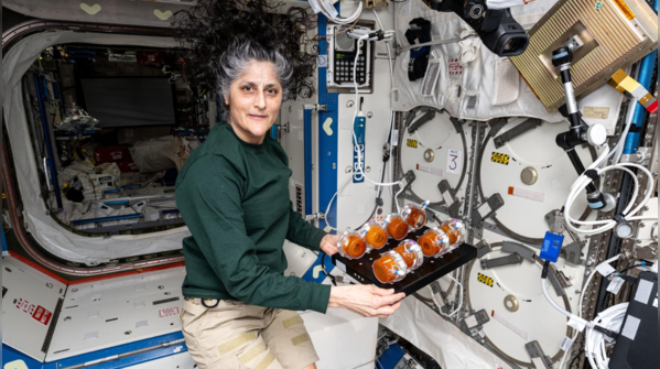 Sunita Williams in space: 10 months of experiments, spacewalks, and more in pictures