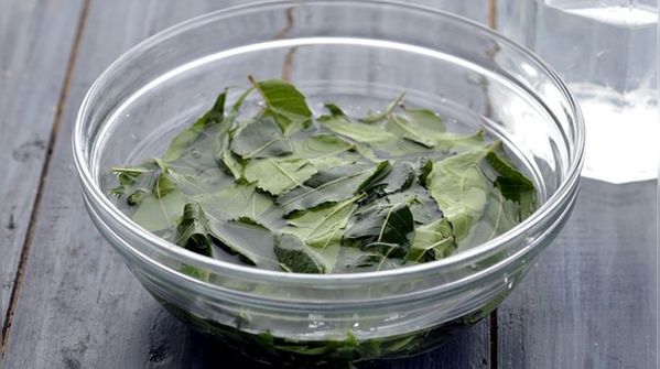 Neem Leaves For Dandruff: 5 effective ways to use neem leaves to cure ...