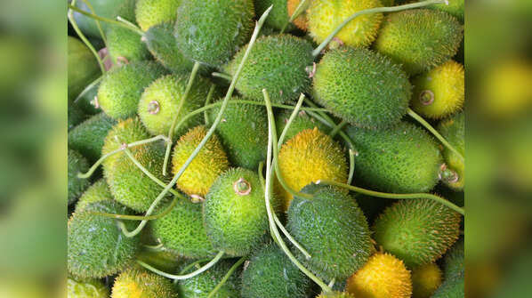 Kakoda: This local vegetable is a store house of nutrition