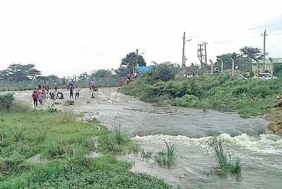 Resident Warrior: For the sake of our own Begur Lake