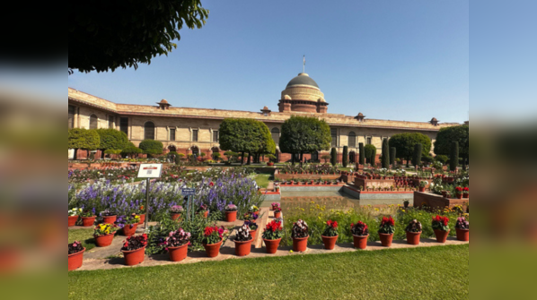 Padma Awards 2024: Venkaiah Naidu, Vyjayantimala, Konidela Chiranjeevi ...